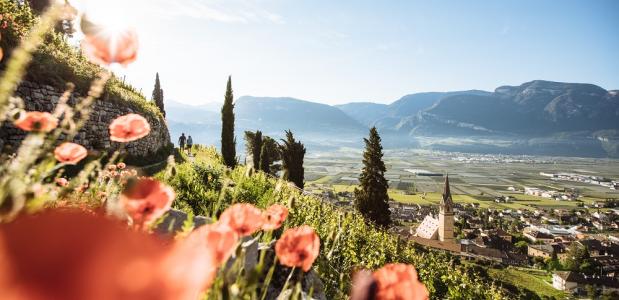 Kalterer See: ontdek het mediterrane zuiden in Zuid-Tirol | Bergwijzer